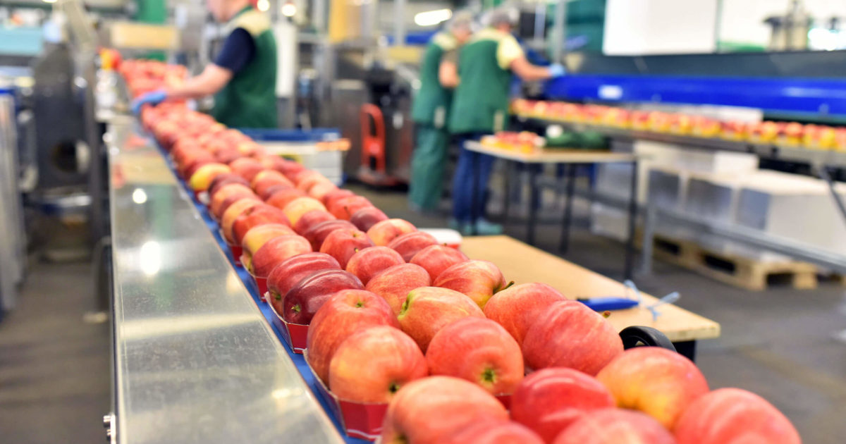 How ESG Investing Trends Parallel The Organic Food… | ENGIE Impact