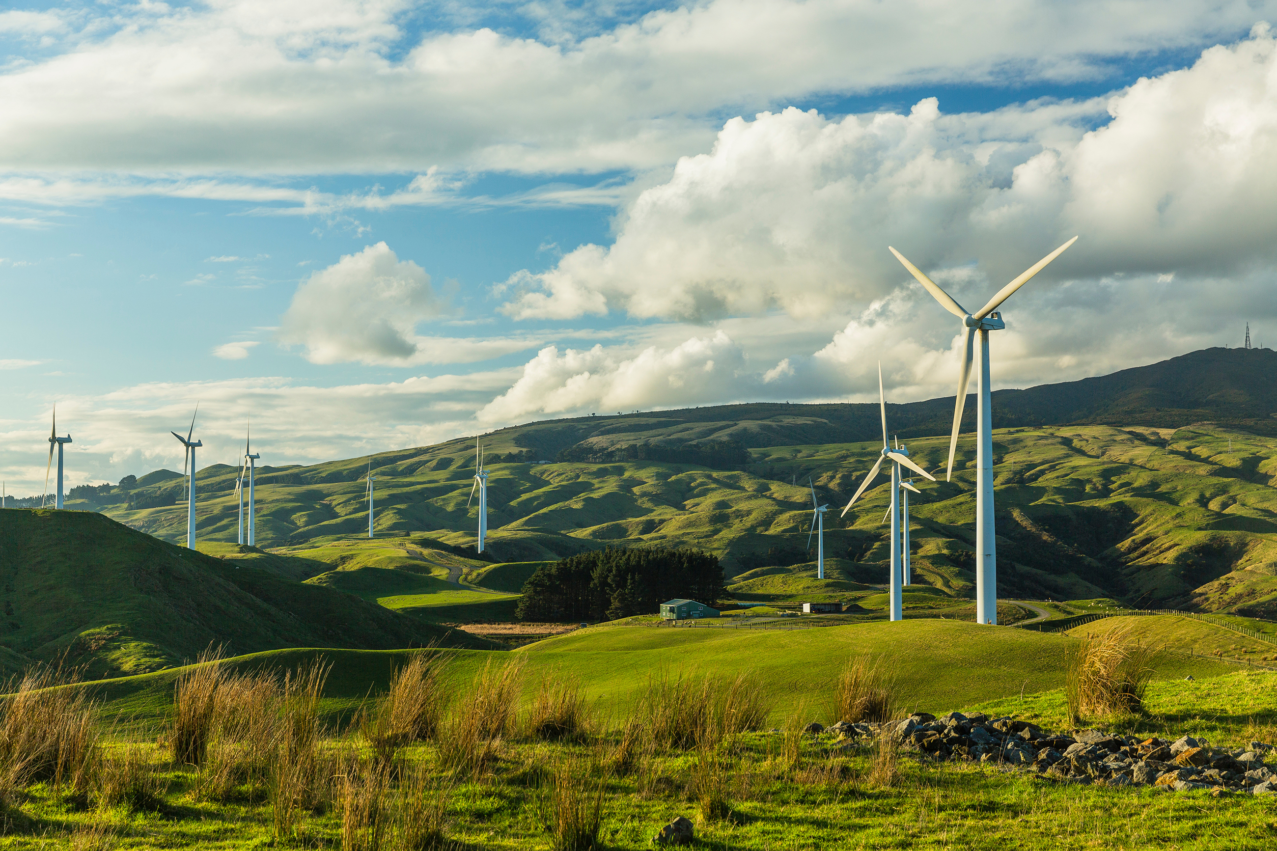 Accelerating Corporate Decarbonization | ENGIE Impact